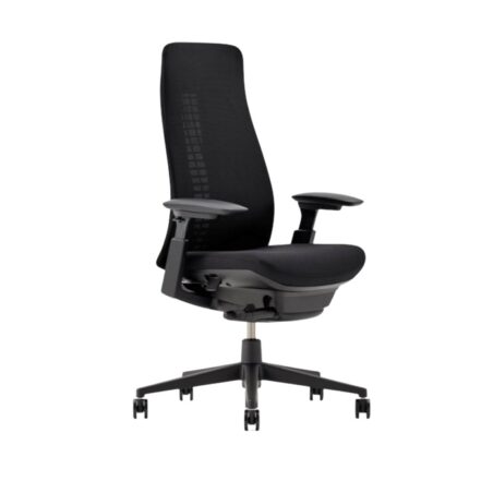 Haworth Fern Chair, Highly Adjustable, Black Leather Seat, Fully ...